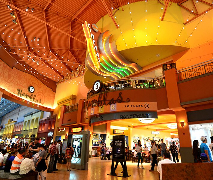 Miami tours and Miami excursions | MSC Cruises