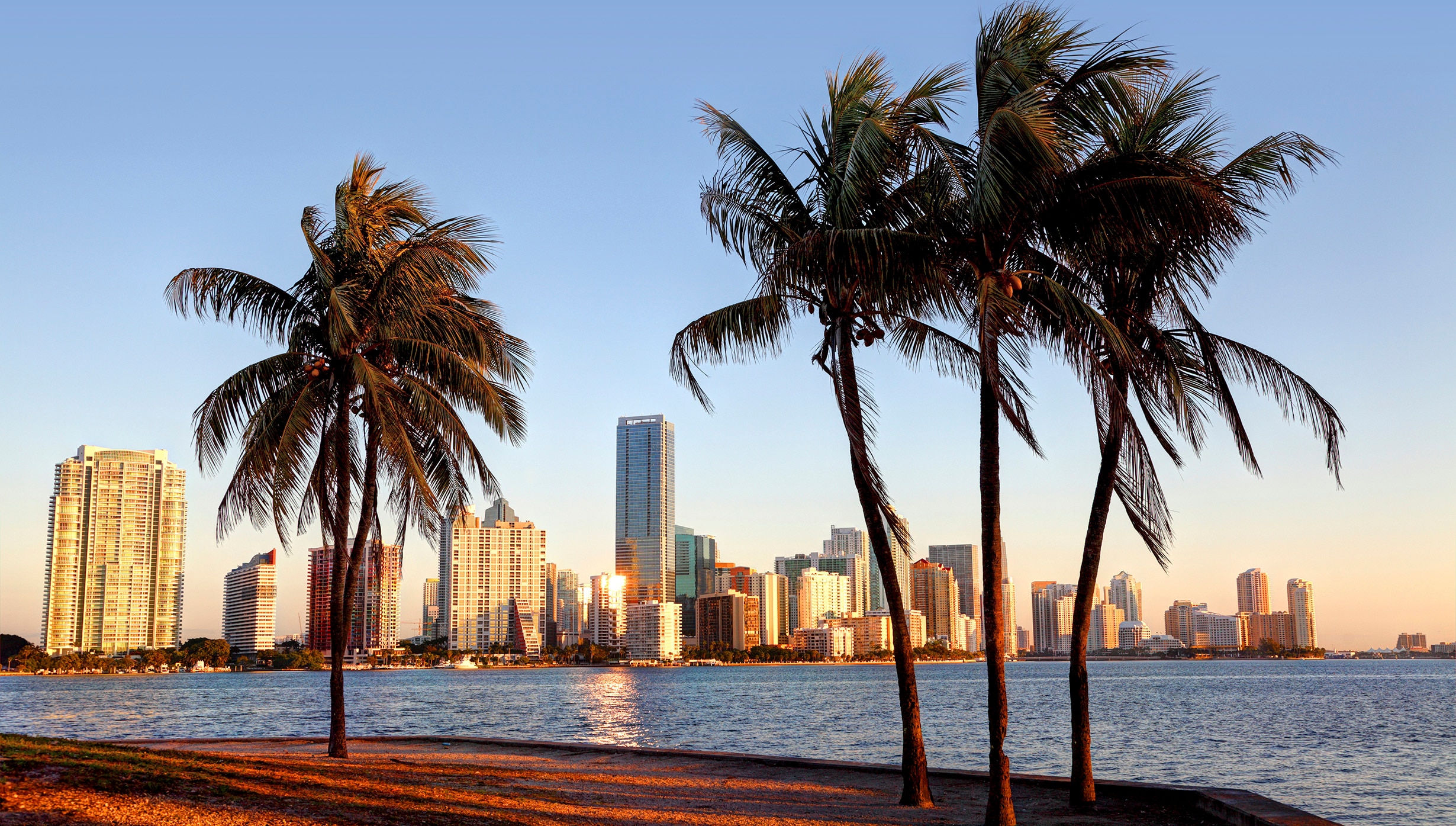 Cruise Holidays - Caribbean, Mediterranean & More | MSC Cruises